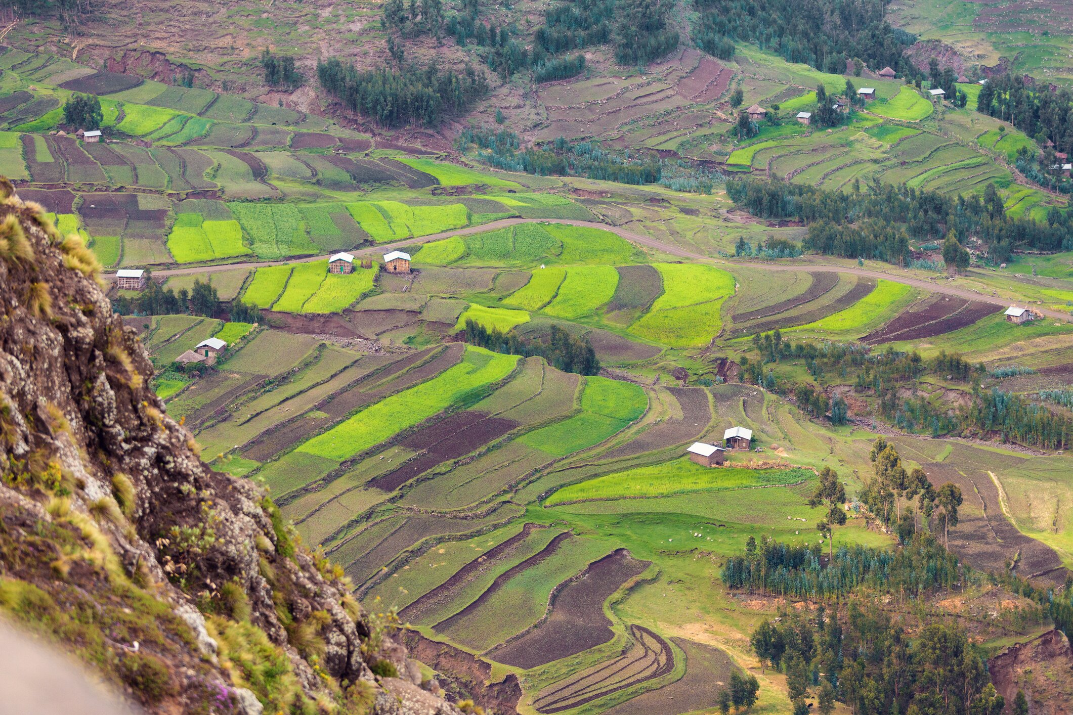 Managing the Food System’s Main Asset: Land - Food Planet Prize