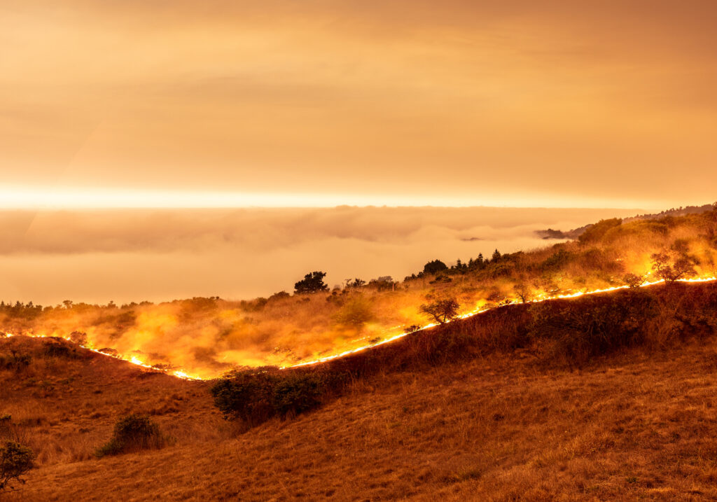 California Farming - An Inferno Rising - Food Planet Prize