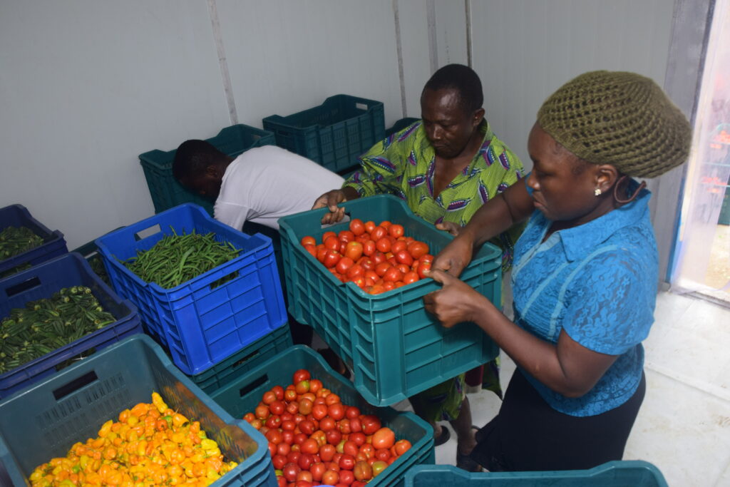 ColdHubs - A cool new way to tackle food loss - Food Planet Prize