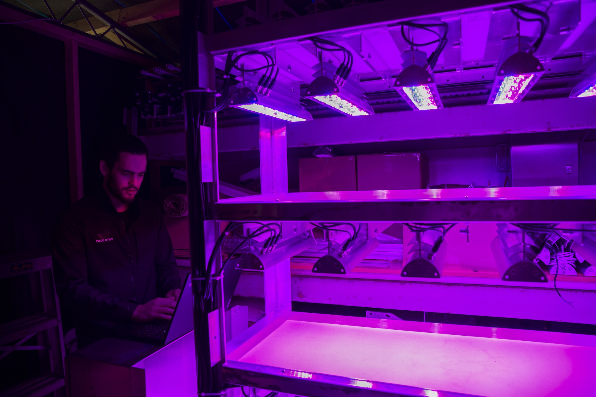 BioLumic: A bright recipe for healthier crops and higher yields - Food ...