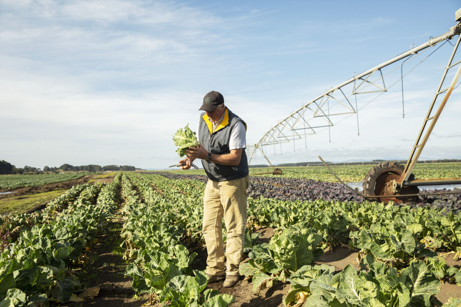 BioLumic: A bright recipe for healthier crops and higher yields - Food ...