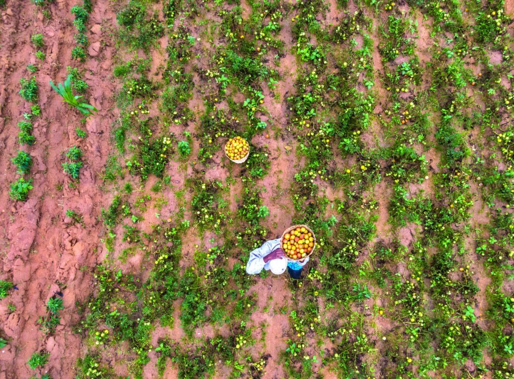 Time for the Food Planet Prize 2023 - Save the date of 9 June - Food ...