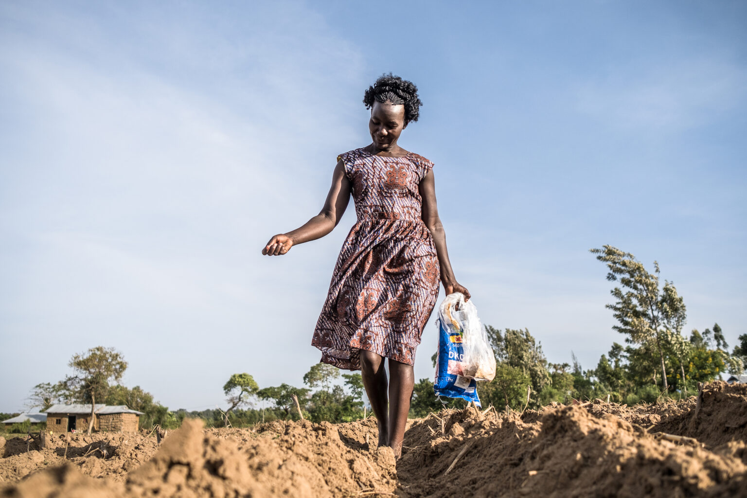 The Toothpick Company Uses Fungi as New Weapons in Kenyan Farmers’ War ...