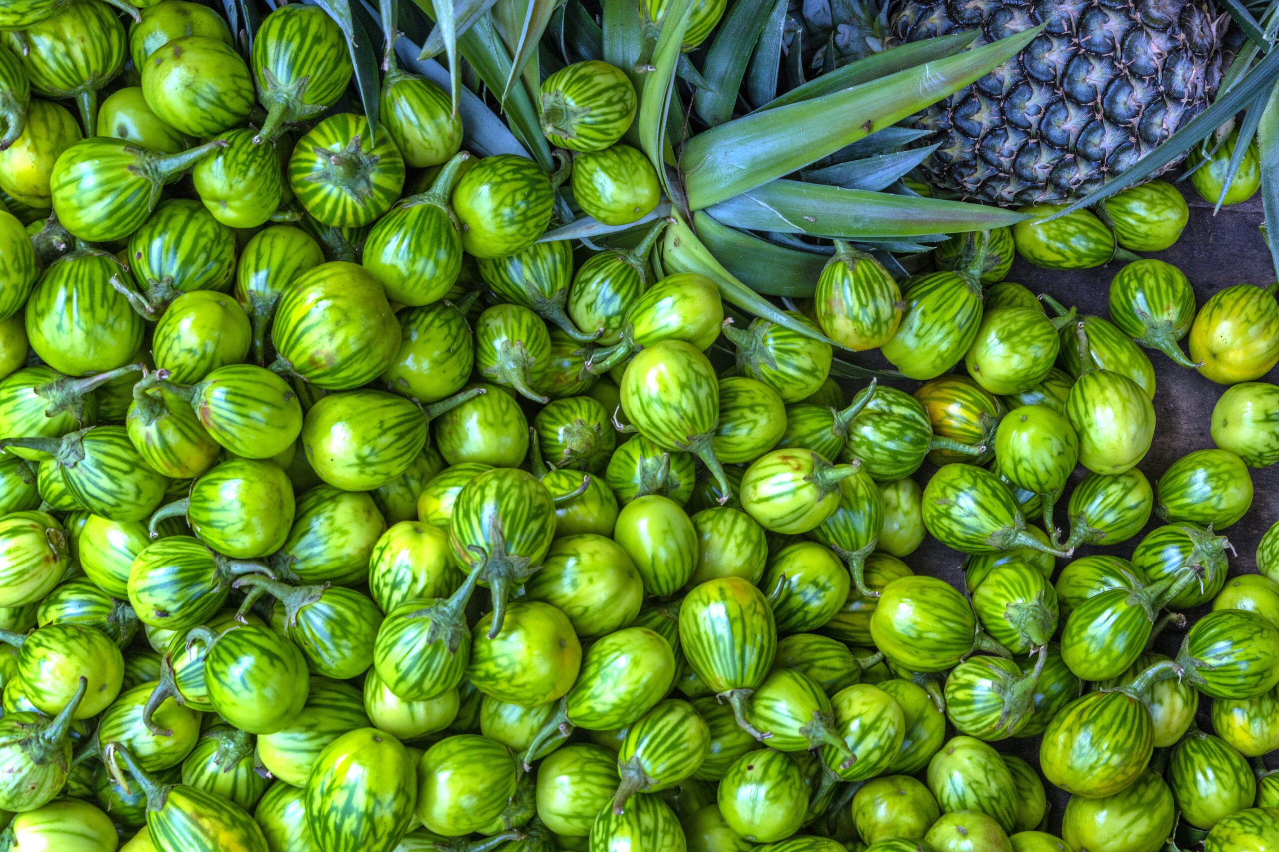 Calling for More Nominations to Run for the Food Planet Prize 2025 ...