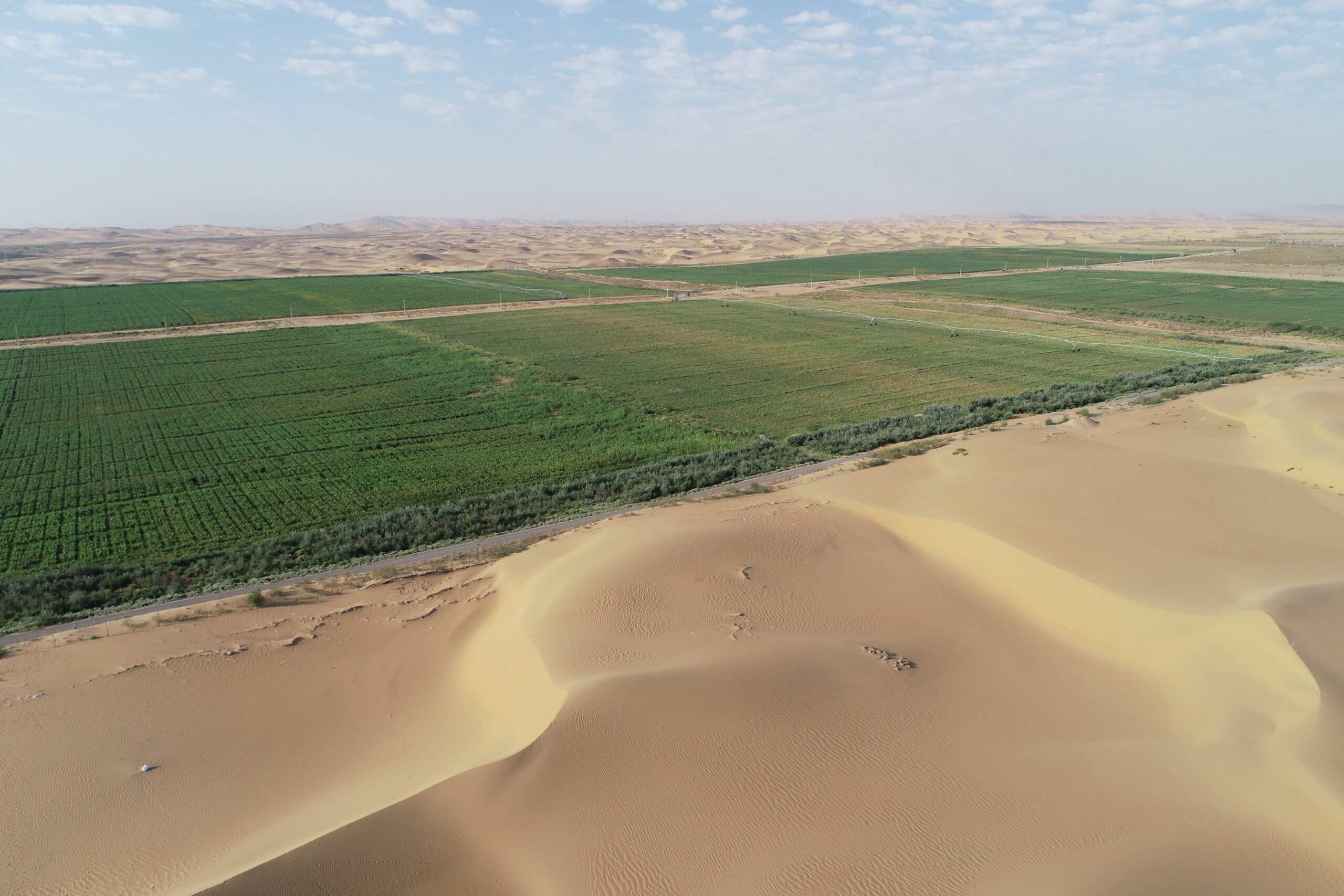 Desert Promise: A New Way To Make the Desert Bloom - Food Planet Prize