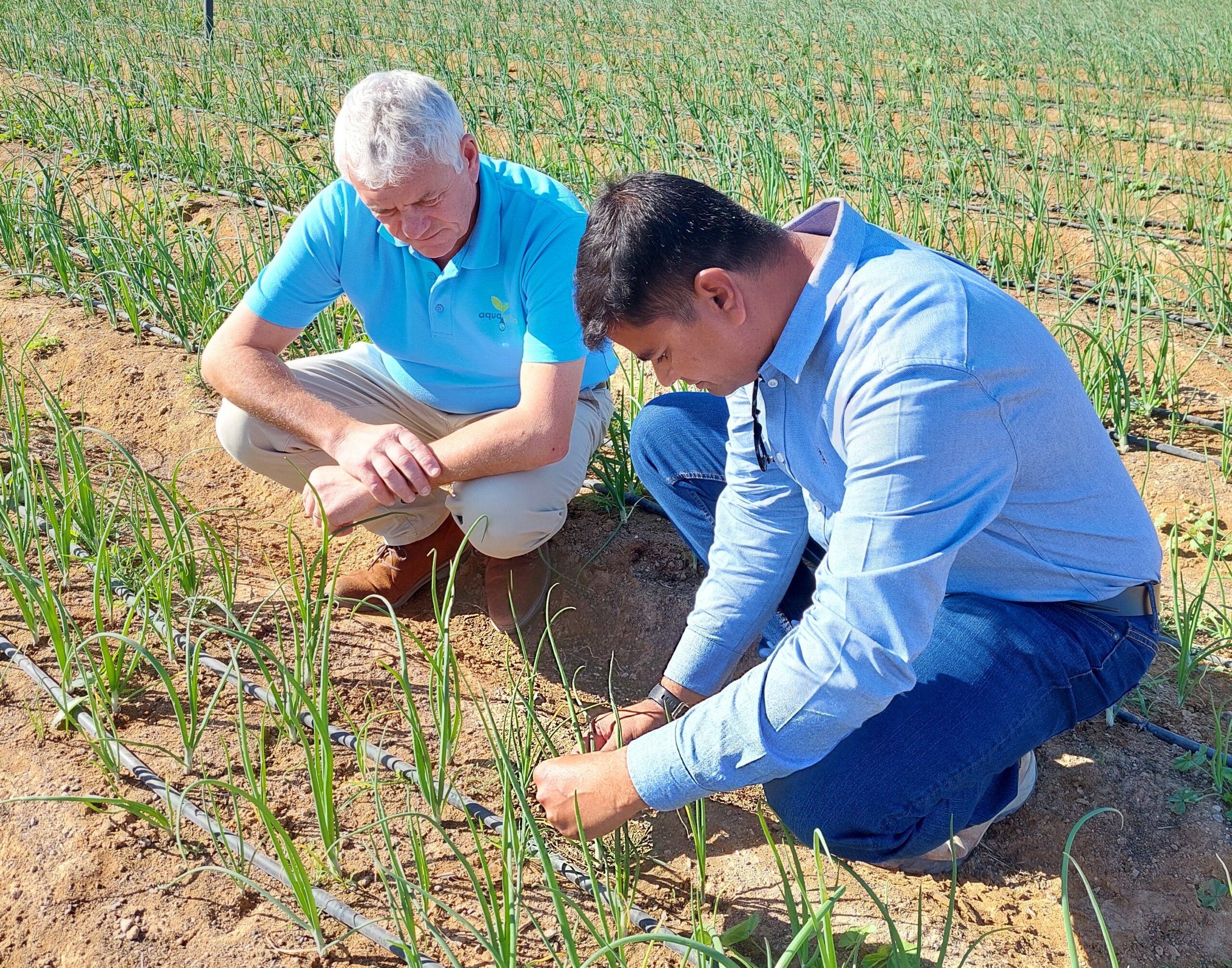 Aquagrain Creates the World’s First Sustainable Crop Feed from Animal ...