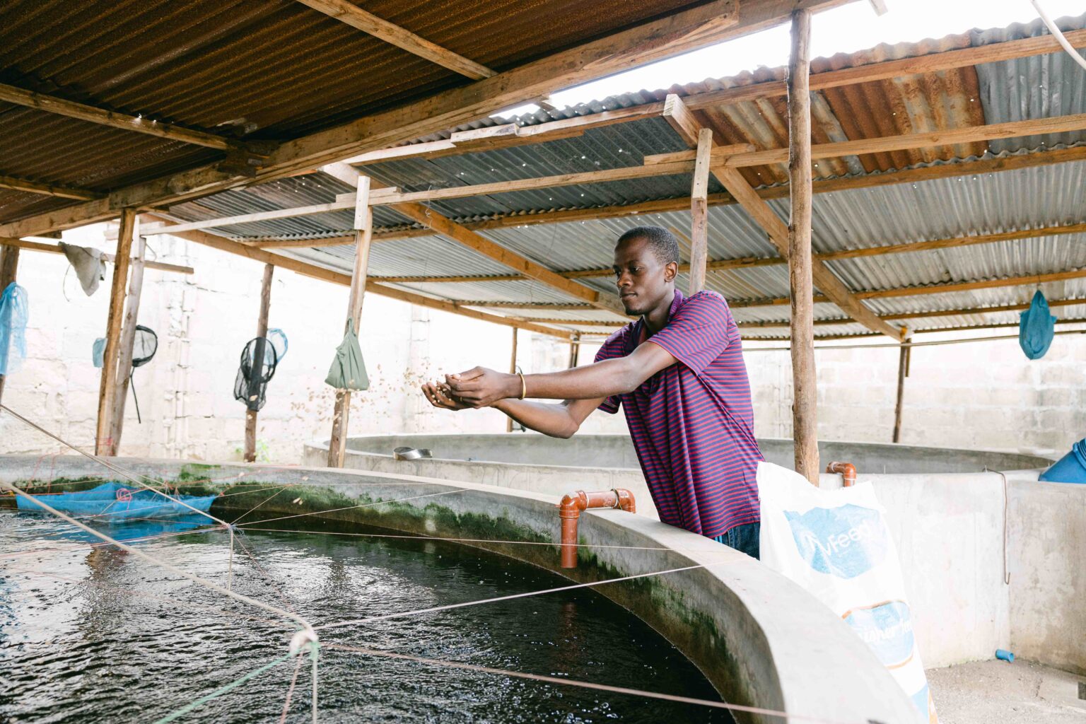 NovFeed: Turning Fruit into Fish - Food Planet Prize