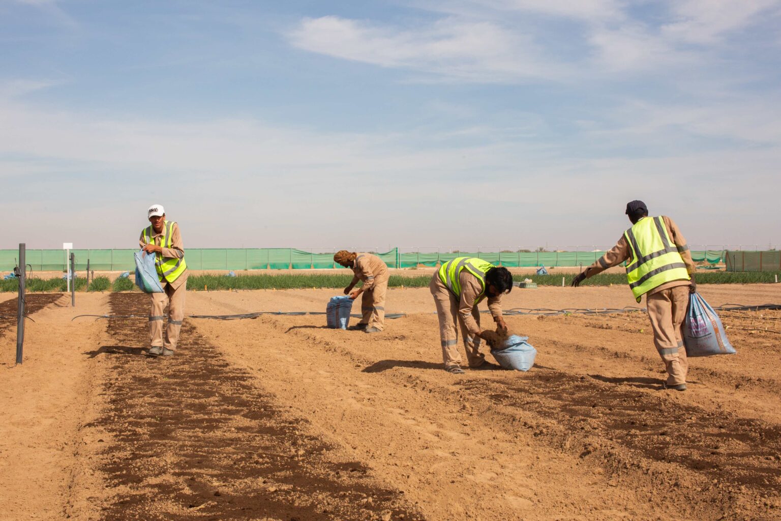 Aquagrain: New Life for Poor Soil - Food Planet Prize