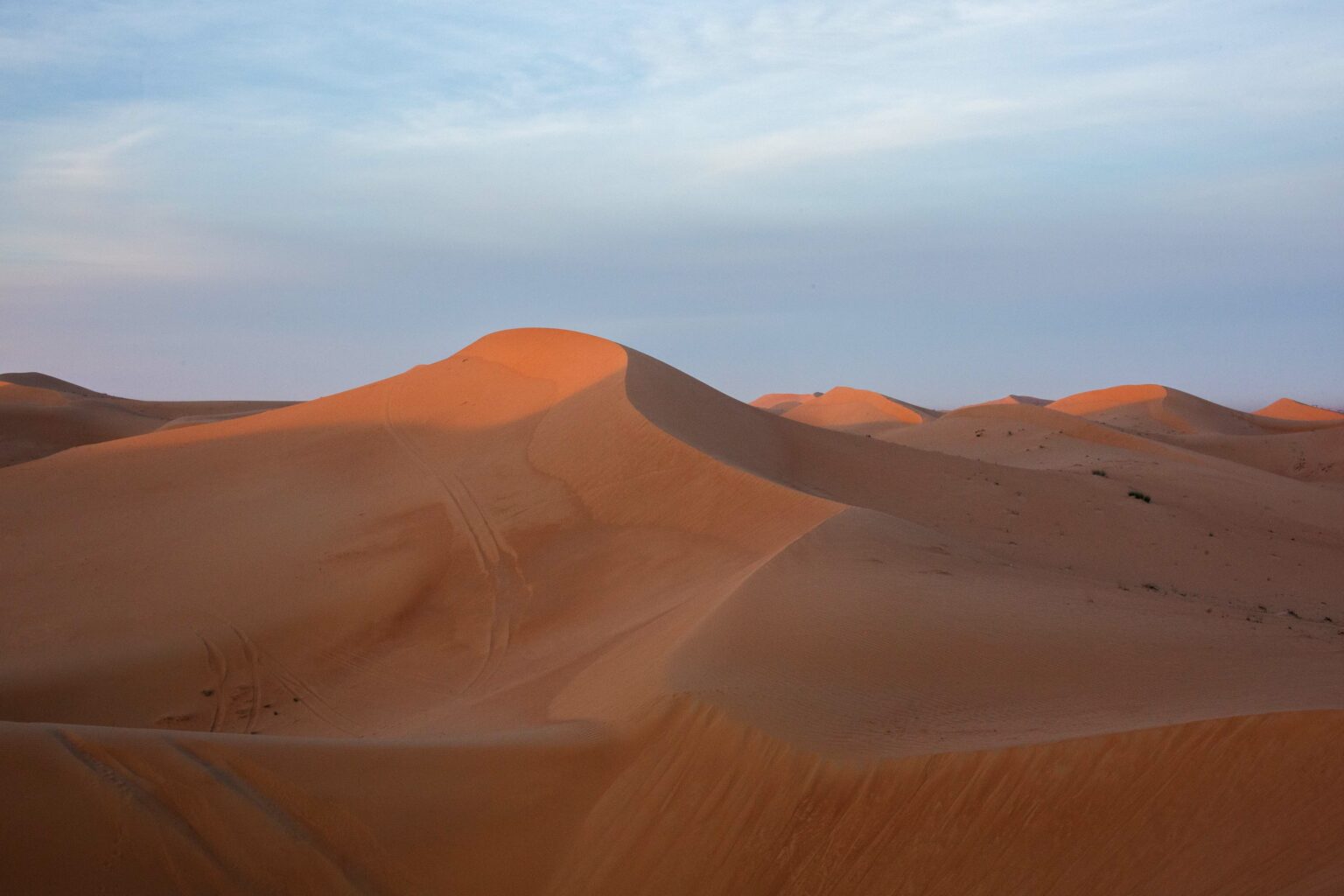 Aquagrain: New Life for Poor Soil - Food Planet Prize
