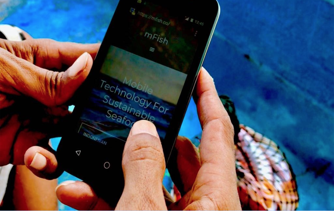 Eachmile: How an App Could Save the Sustainable Fishing Industry - Food Planet Prize