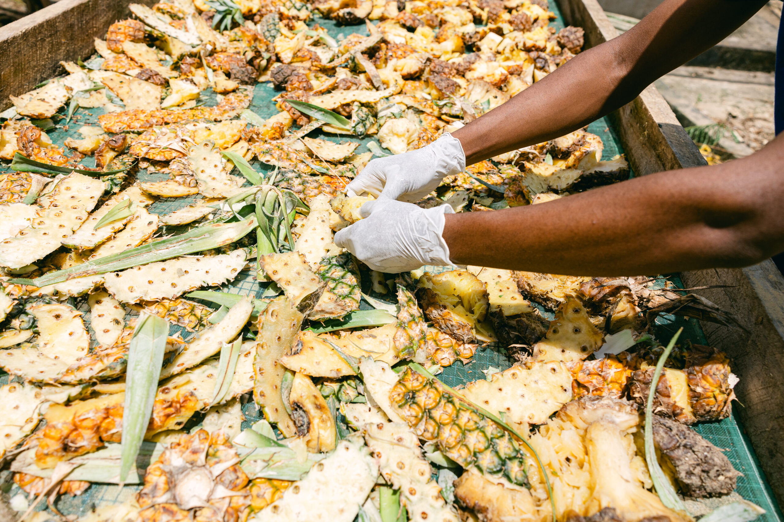 The Food Planet Prize Shortlist 2024 is here! - Food Planet Prize