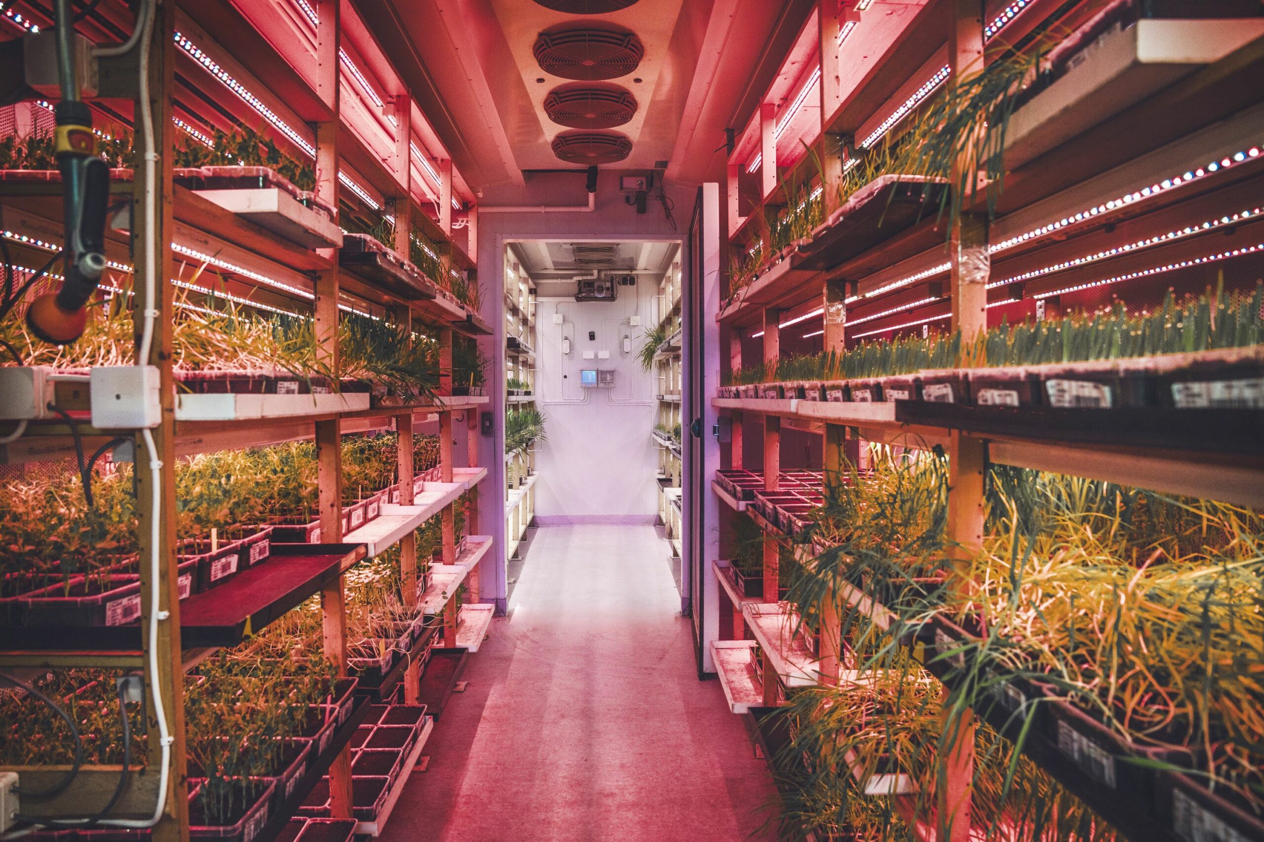 ThermoSeed – A Swedish Seed Solution - Food Planet Prize