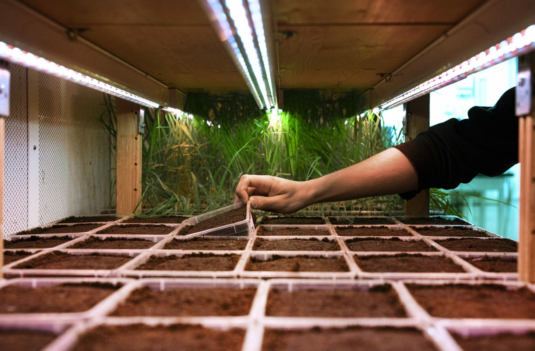 ThermoSeed – A Swedish Seed Solution - Food Planet Prize