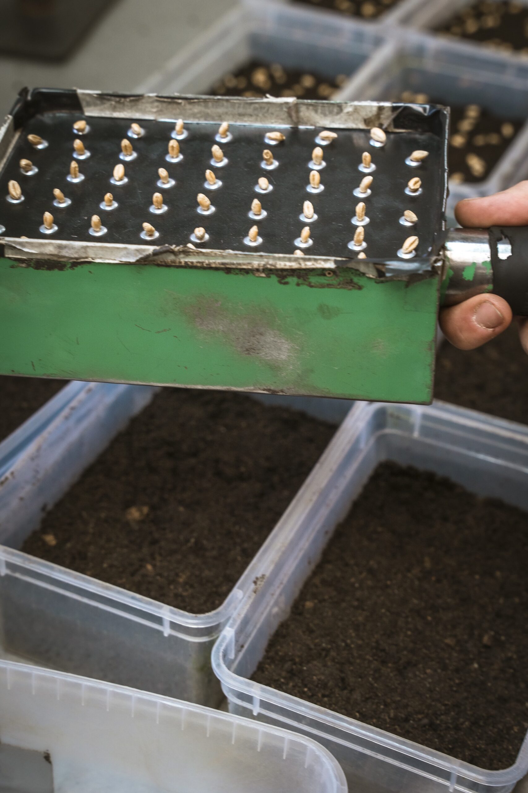 ThermoSeed – A Swedish Seed Solution - Food Planet Prize