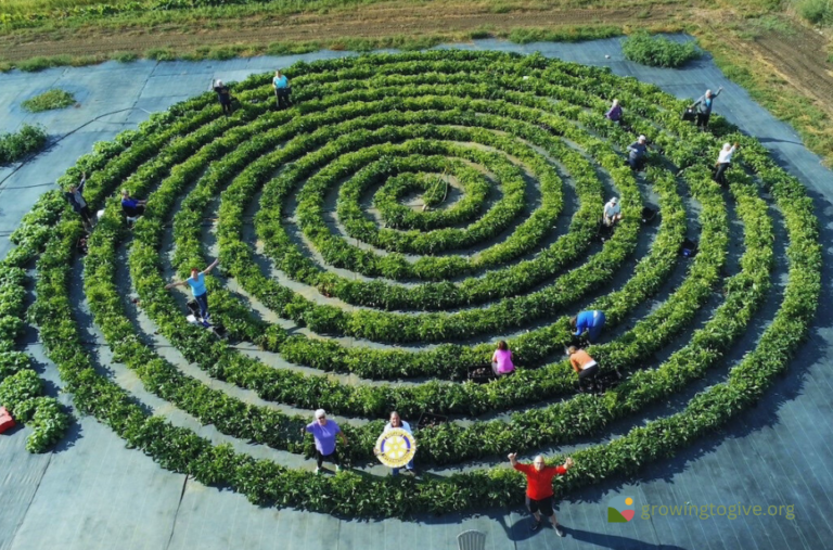 Amazing Spaces: How Spiral Farming Could Revolutionize Urban Growing ...