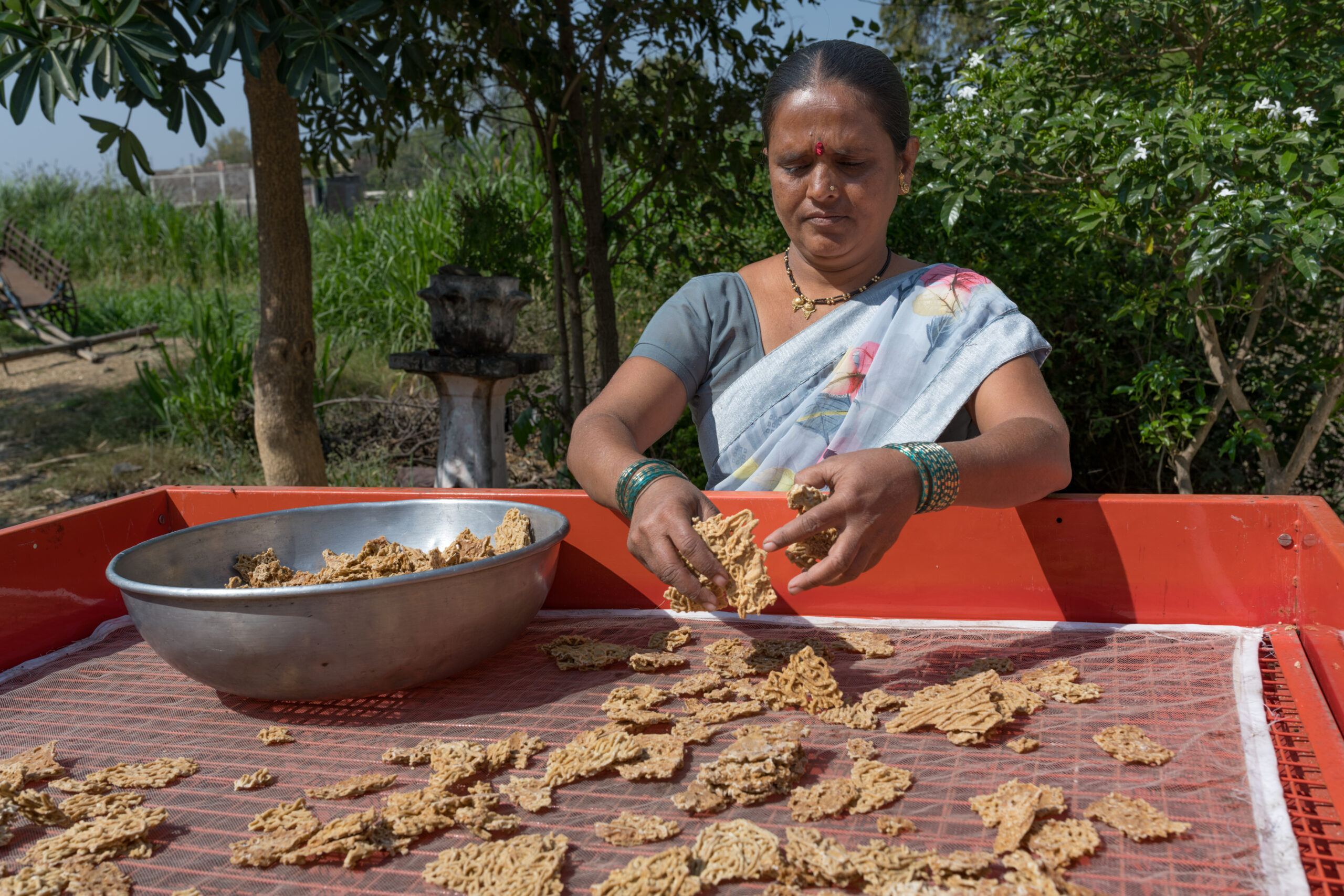 Society for Science: Solar Power Turns Waste into Food at the Farm Gate ...