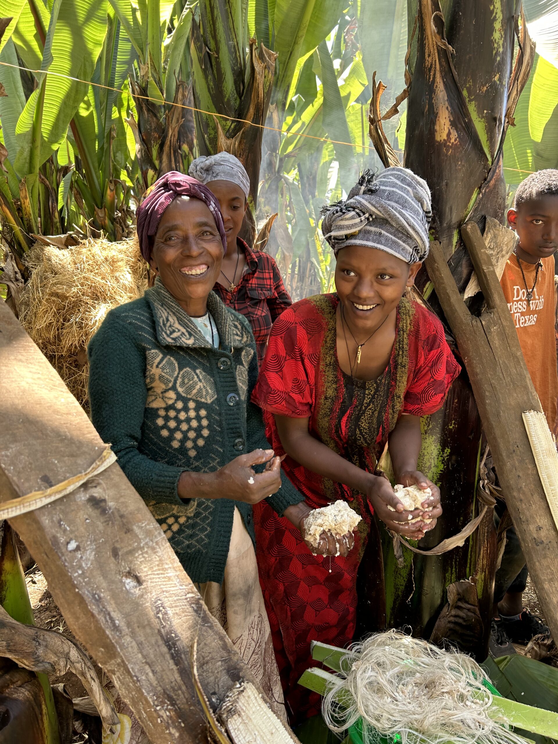 Enset Food Security initiative: How an Ethiopian climate-smart super ...