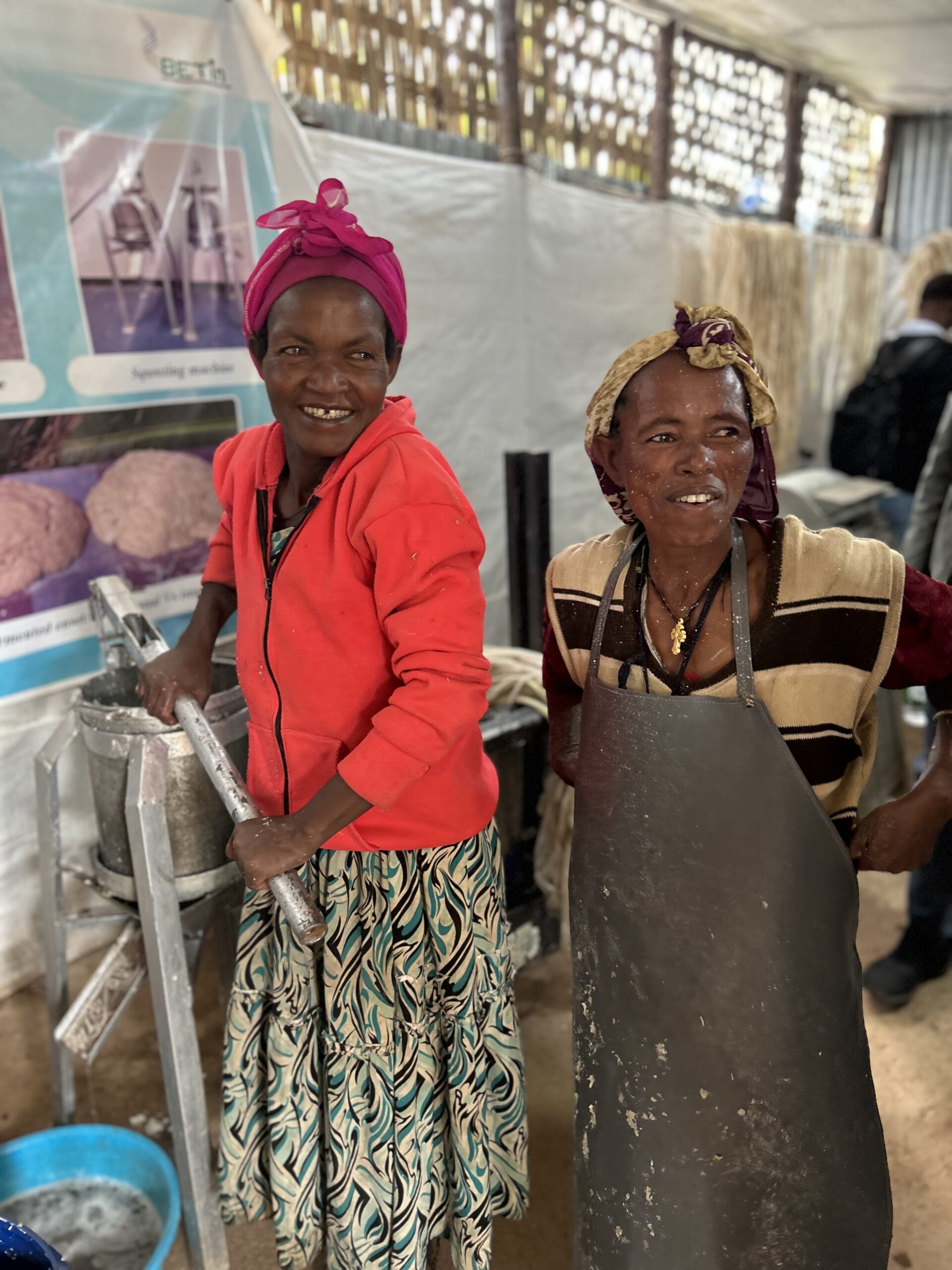 Enset Food Security initiative: How an Ethiopian climate-smart super ...