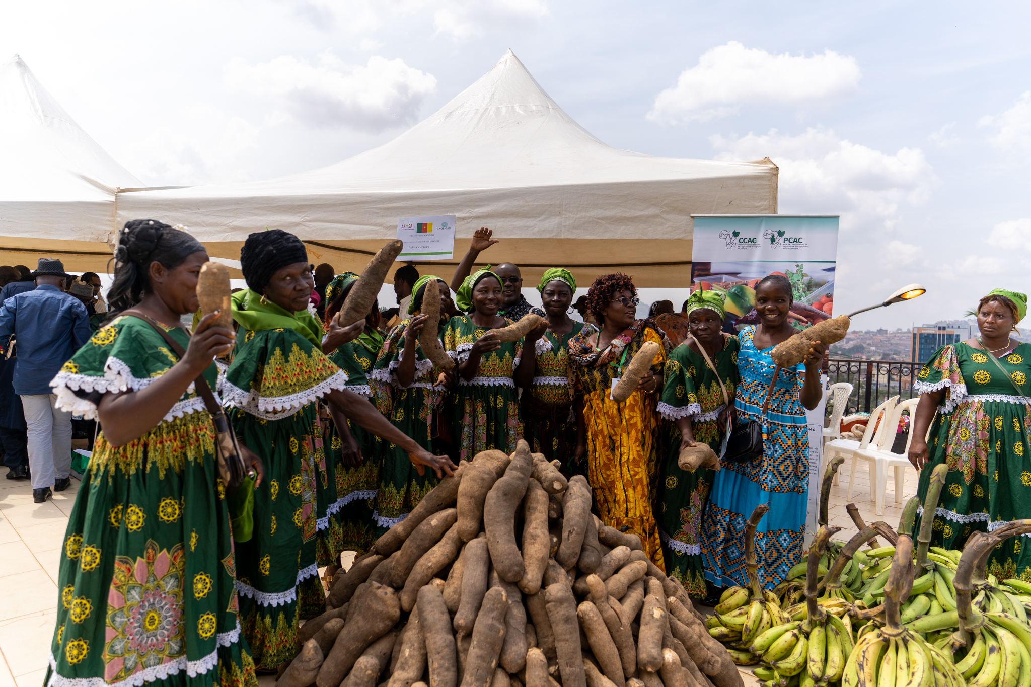 My Food is African: Rewiring the Agriculture Narrative Across the ...
