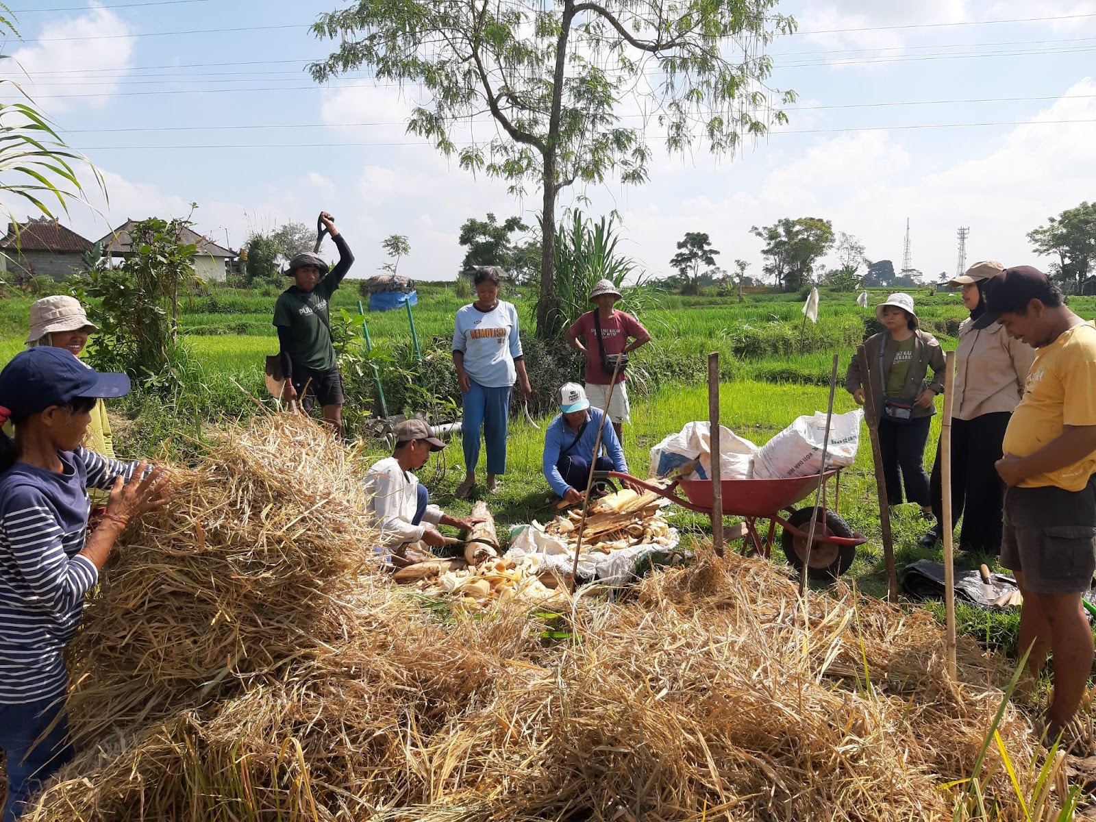 Zero Foodprint Asia: Turning Diners into Active Participants in Solving ...