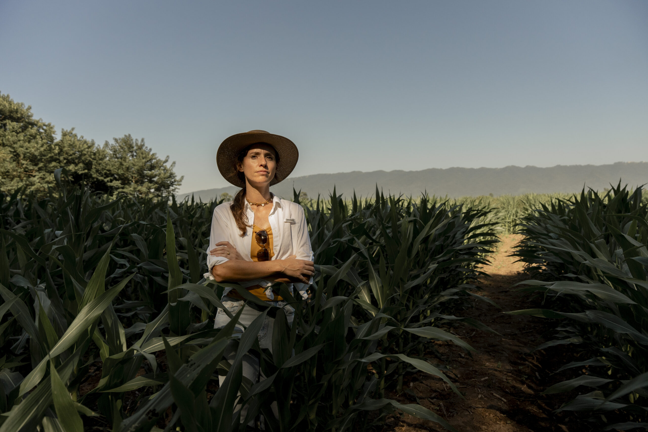 Semion: Can Plant Communication be the Key to Saving Argentina’s Crops ...