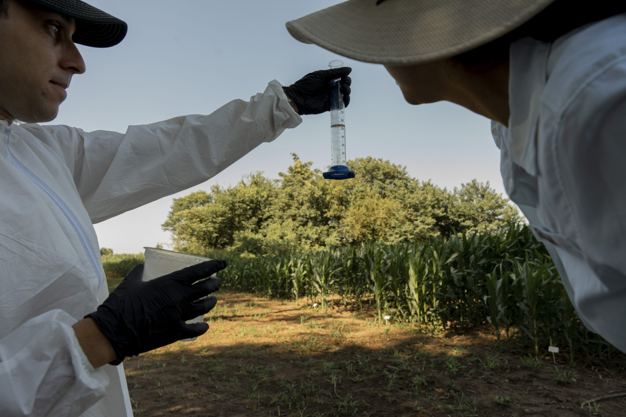 Semion: Can Plant Communication be the Key to Saving Argentina’s Crops ...