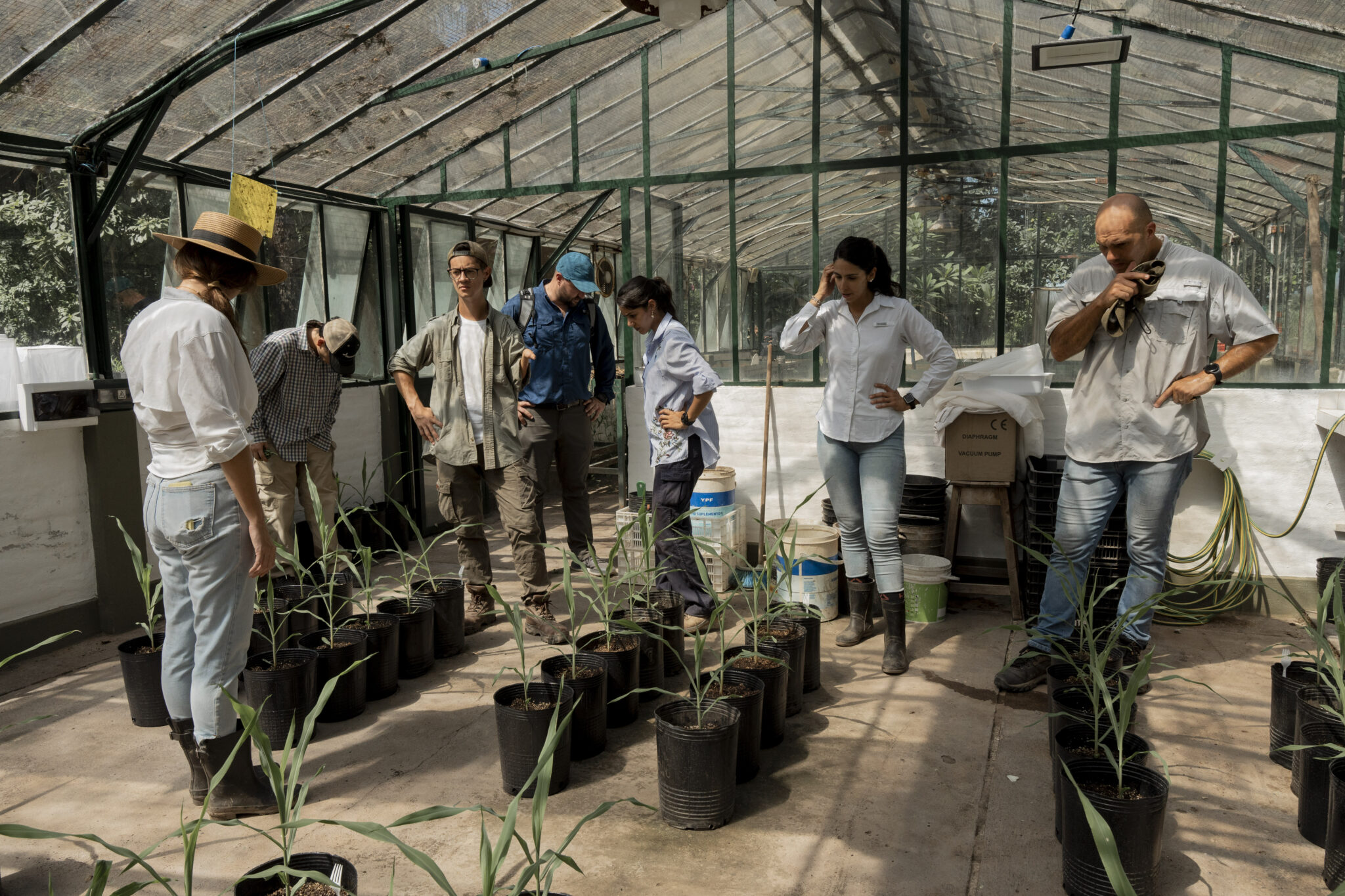 Semion: Can Plant Communication be the Key to Saving Argentina’s Crops ...