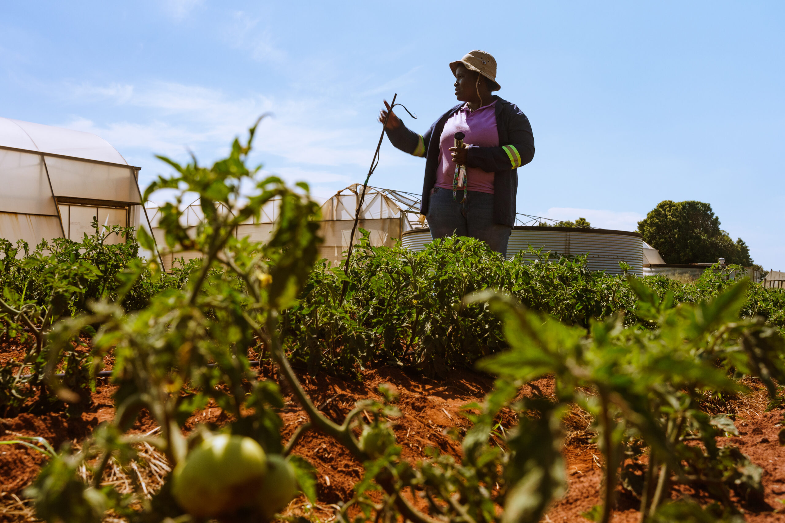 Virtual Irrigation Academy: The Tiny Device Reshaping Farming in Africa ...