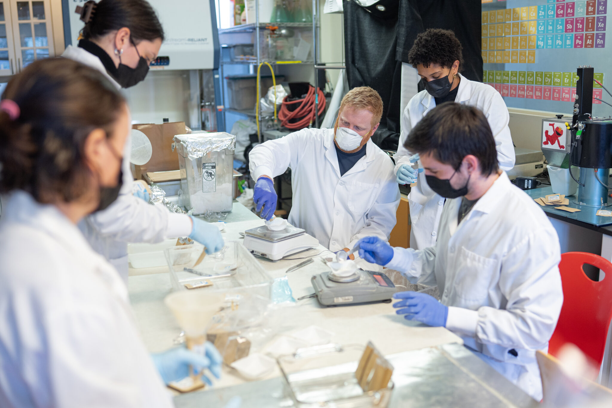 Adaptive Symbiotic Technologies: The Fungi That Could Transform Global ...