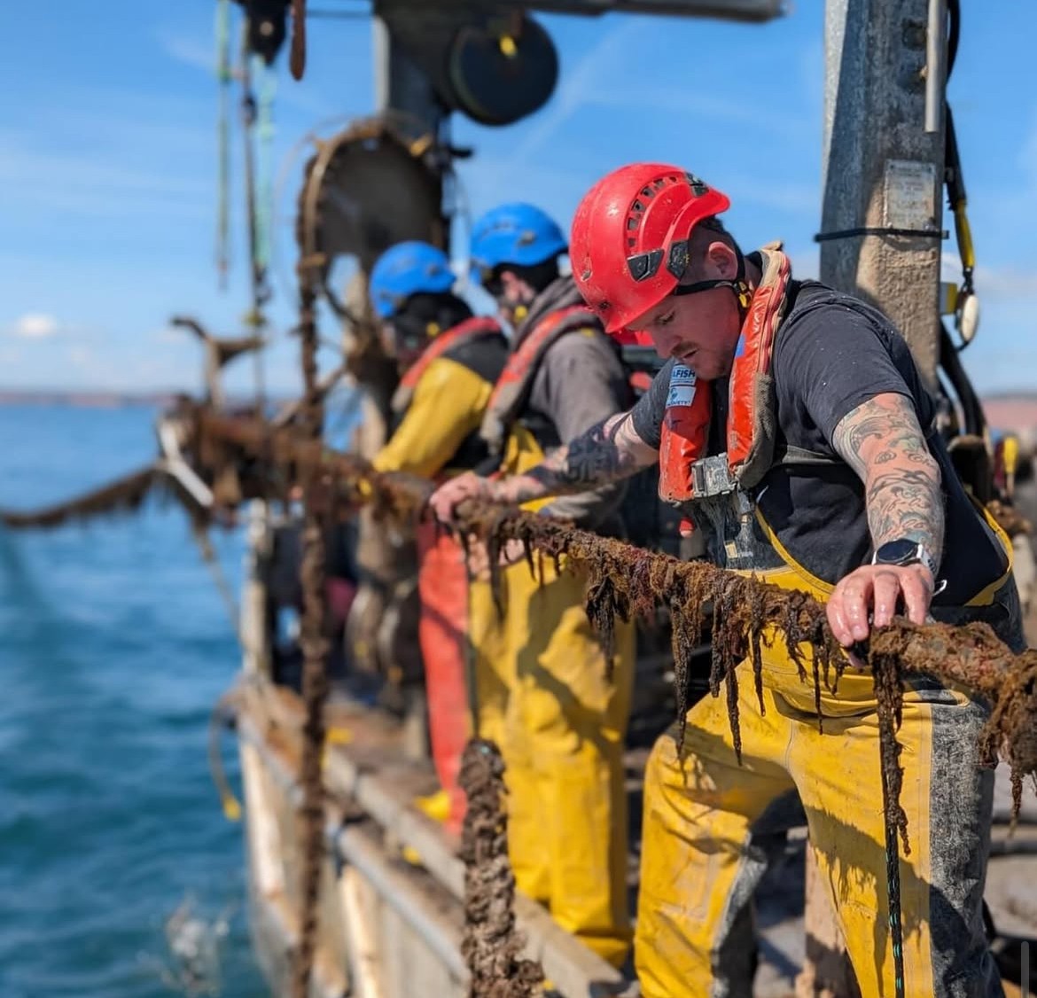 Offshore Shellfish Ltd: Restoring Oceans While Feeding the Future ...